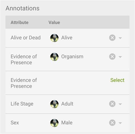 Dont Forget To Annotate Your Observations Rinaturalist