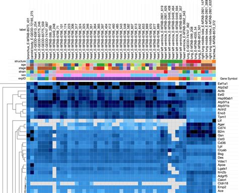 mouse gene expression data search