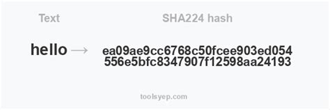 sha224 generador hash toolsyep