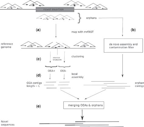 Figure From Detection And Characterization Of Novel Sequence Insertions Using Paired End Next