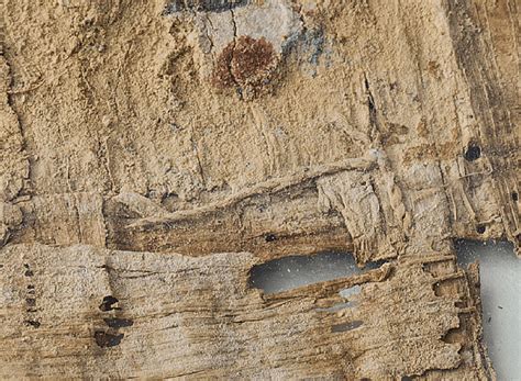 Maltese Woman Finds The Worlds Oldest Known Book Rewrites History Times²