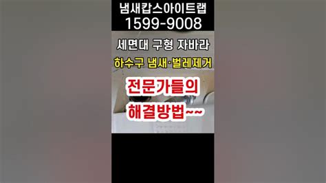 화장실 하수구 트랩 냄새제거 벌레 악취 차단세면대 구형 자바라 하수구 냄새벌레제거 전문가들의 해결방법아이트랩 Youtube