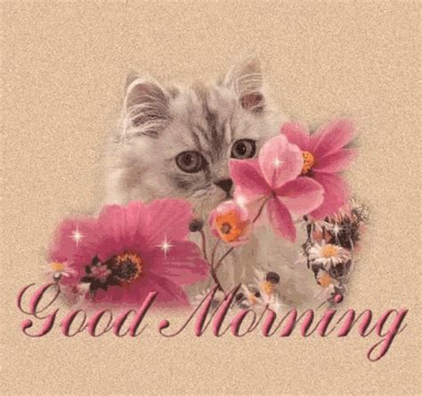 Cute Good Morning Wednesday S