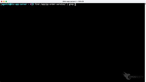Find The Largest Python Objects Or Values Taking The Most RAM Using OpenResty XRay OpenResty