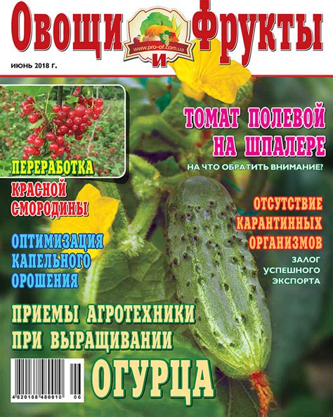 Журнал №6 2018 года Овощи и Фрукты журнал