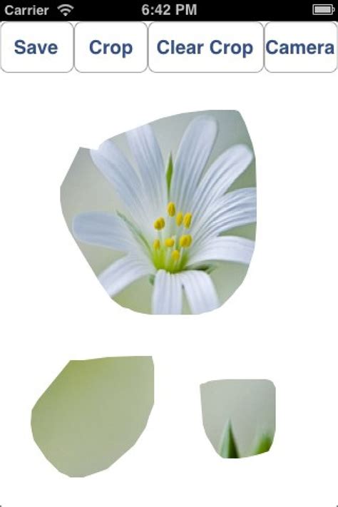Imagefilter Free Crop The Image Android Stack Overflow