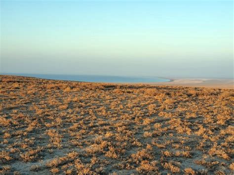 Premium Photo The Aral Sea And Desert