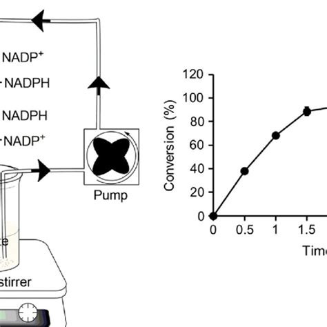 Preparation Of Phosphate Buffer Ph With Different Ionic Strength Download Scientific Diagram