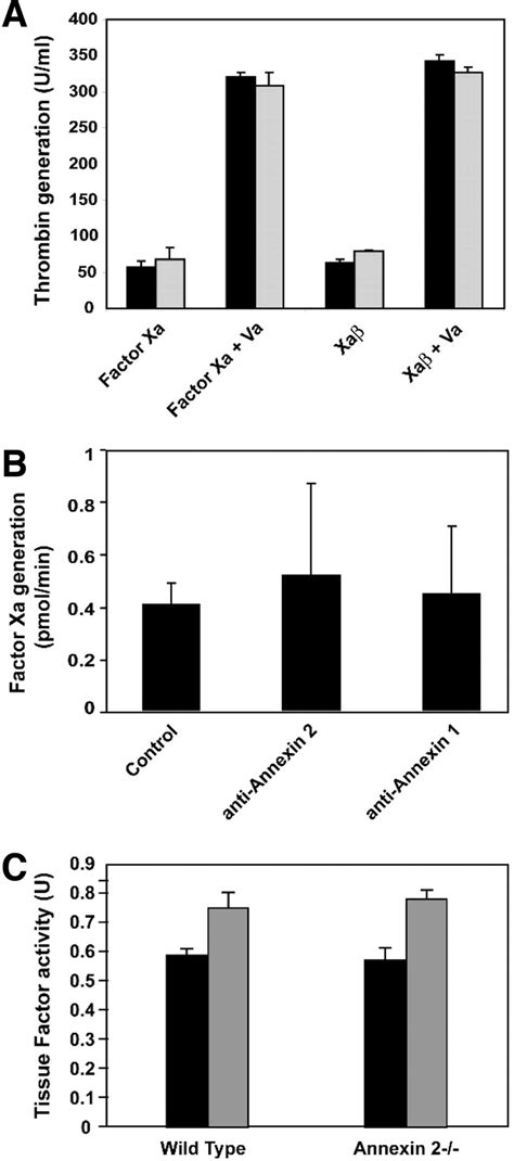 Factor Xa Binding To Annexin 2 Mediates Signal Transduction Via Protease Activated Receptor 1