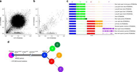 subtracting the clonal cluster revealed subclonal diversification in