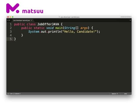 Java Developer Wanted Pdf Programming Languages Computing