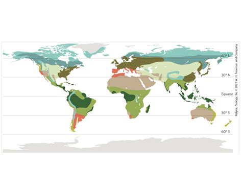 Terrestrial Biomes — Printable Worksheet