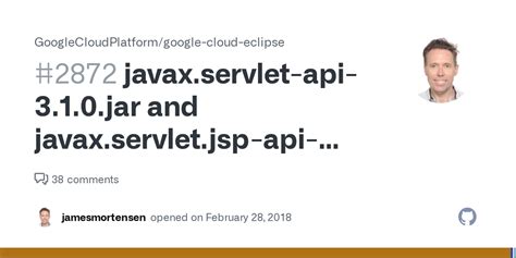 rvlet api 3 1 0 jar and rvlet jsp api 2 3 0 jar not