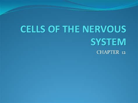 CELLS OF THE NERVOUS SYSTEM CHAPTER Nervous