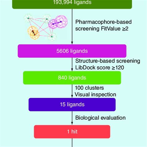 Flowchart Of The Virtual Screening Download Scientific Diagram