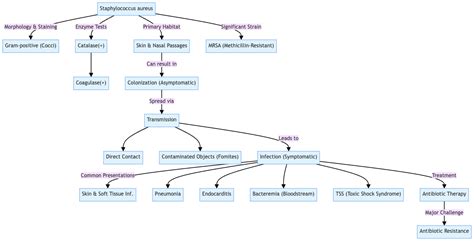 Staphylococcus Aureus Habitat Morphology Characteristics Infection Biology Notes Online