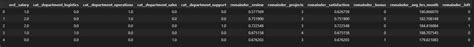 Python 3x How To Use Columntransformer To Return A Dataframe
