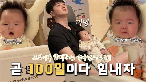 🐈👼🏻육아브이로그🤍 고양이와 아기를 함께 키우는 엄마의 관점으로 본 세상87~89일아기 일상 조각모음 Youtube