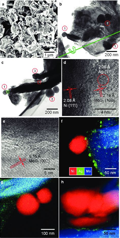 Morphological And Elemental Characterizations Of The Prepared