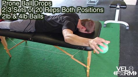 Ball Drops Exercise At Douglas Jacobson Blog