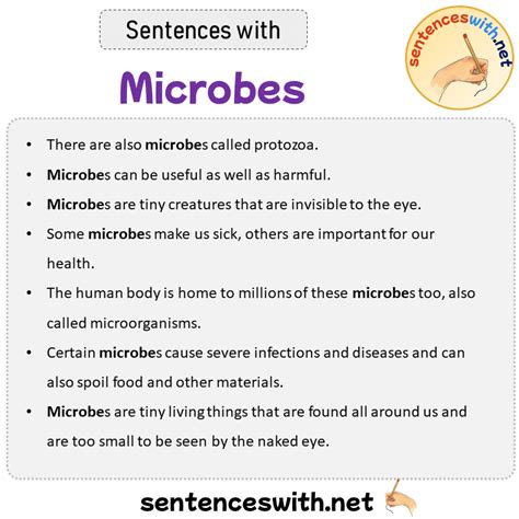 Sentences With Microbes Sentences About Microbes SentencesWith Net