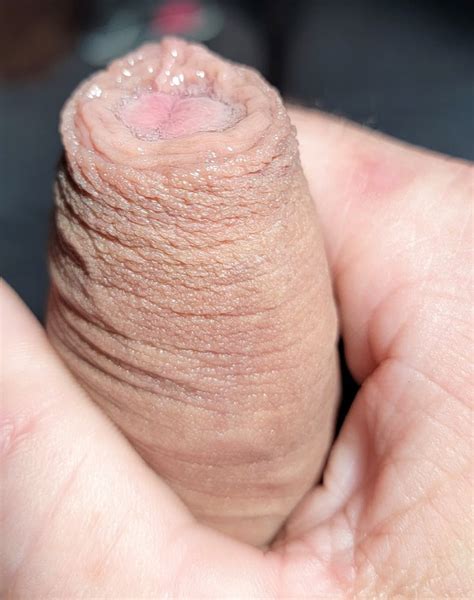 Girth 9 Pics Xhamster