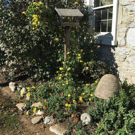 Pin By Sherie Smith On Patsy Martin Home Country Gardening Garden