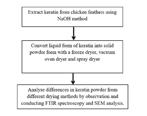 process flowchart of experiment download scientific diagram