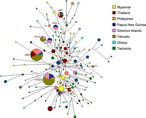 Network Analysis Of Global Pfama 1 Haplotypes Haplotype Network Was