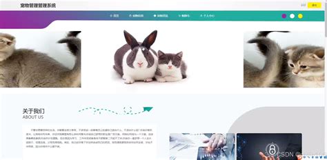 基于django vue宠物销售管理系统开题报告 程序 论文 计算机毕设 CSDN博客