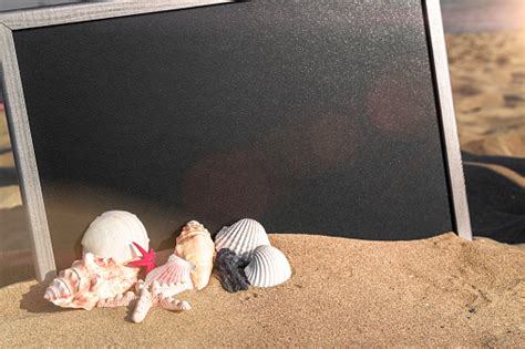 여름 세일 화창한 날에는 바다 해변의 검은 책상 근처에서 글로브 조개 비행기 및 불가사리 여름 방학 과 비즈니스 여행 개념의 공간을 복사합니다 개념에 대한 스톡 사진 및