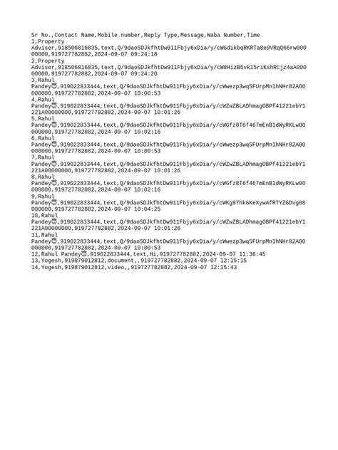 conversion report pdf