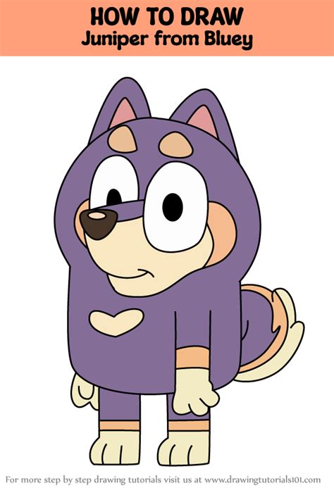 How To Draw Juniper From Bluey Bluey Step By Step