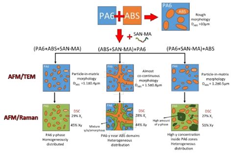 Schematic Representation Of The Analyses And Results Download