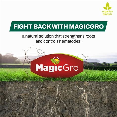 Insecticide For Maize At Best Price In Mumbai By Organica Biotech