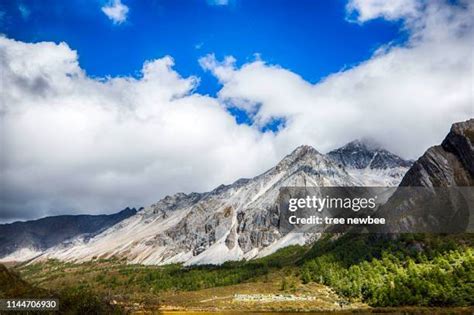 Ading Photos And Premium High Res Pictures Getty Images