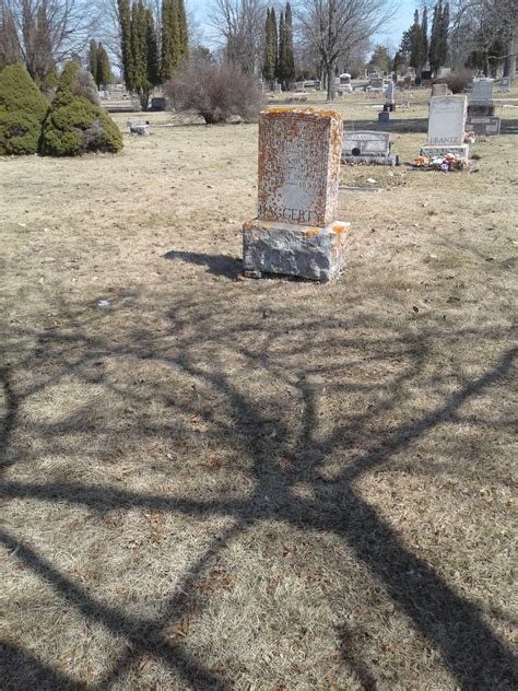 Catherine Haggerty 1843 1905 Find A Grave Memorial