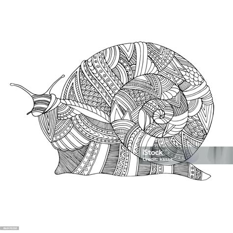 손으로 그린 낙서 벡터 개요 달팽이 그림 추상 장식으로 꾸며져 있습니다 추상 Mobochrome 달팽이 그리기 0명에 대한 스톡 벡터 아트 및 기타 이미지 Istock