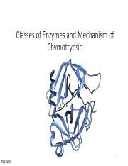 Understanding Enzyme Classes & Chymotrypsin Mechanism | Course Hero