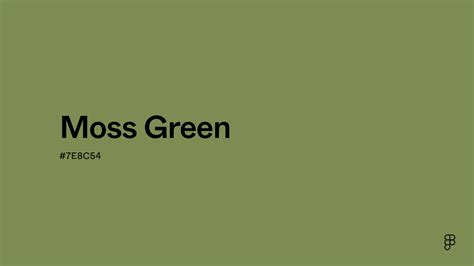 Moss Green Color Hex Code Palettes And Meaning Figma