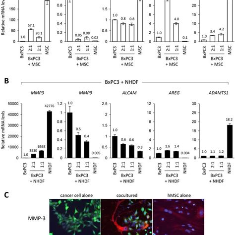 Microarray Analysis Of Sub Epithelial Tissue Set Microarray Heat Map