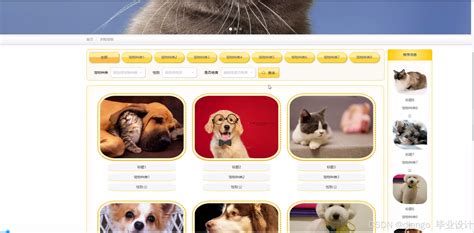 Python毕设宠物在线交易平台程序论文 Csdn博客