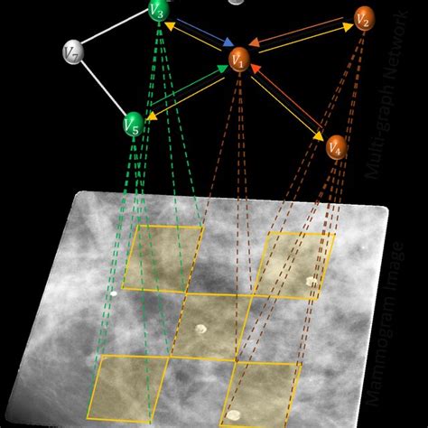 this figure shows the relationship of the adjacent segments features