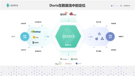 活动回顾｜ Apache Doris 的过去、现在与未来 墨天轮