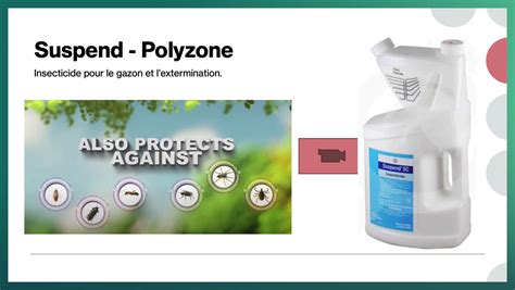 suspend polyzone insecticide sae