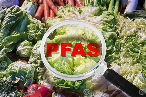 Pfas Pfos Pfoa Pfna E Pfhxs Dangerous Synthetic Substances Fruit And Vegetable Contamination