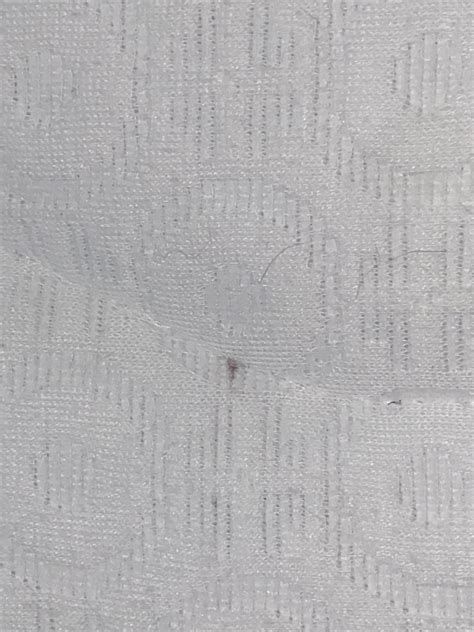 Sings Of Bedbugs Rbedbugs