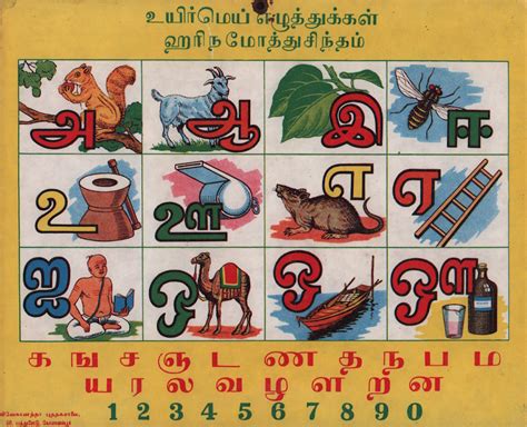 [guide For Learners Of Tamil Script] Von [tamil Teaching Aid] Asia Bookroom Anzaab Ilab