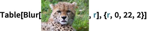 Machine Learning Elementary Introduction To The Wolfram Language