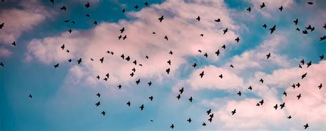 Migrating To Css In Js Part 1 Part 1 Of A Series Of Posts By Rui
